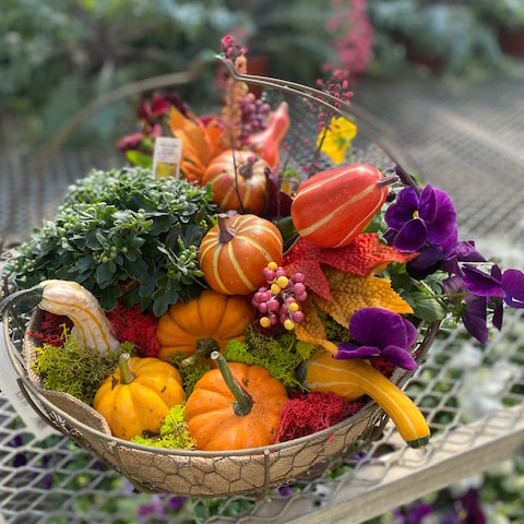 Grove City | Strader's Garden Centers